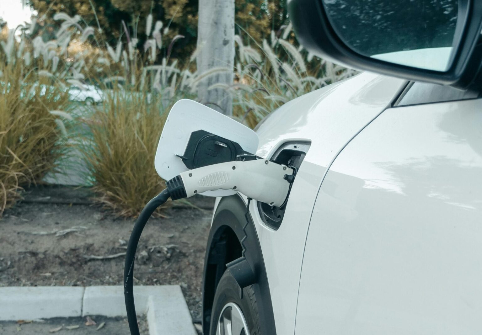 Plug-In Hybrid Sales Rise in Australia as Petrol Cars Lose Ground | Car ...